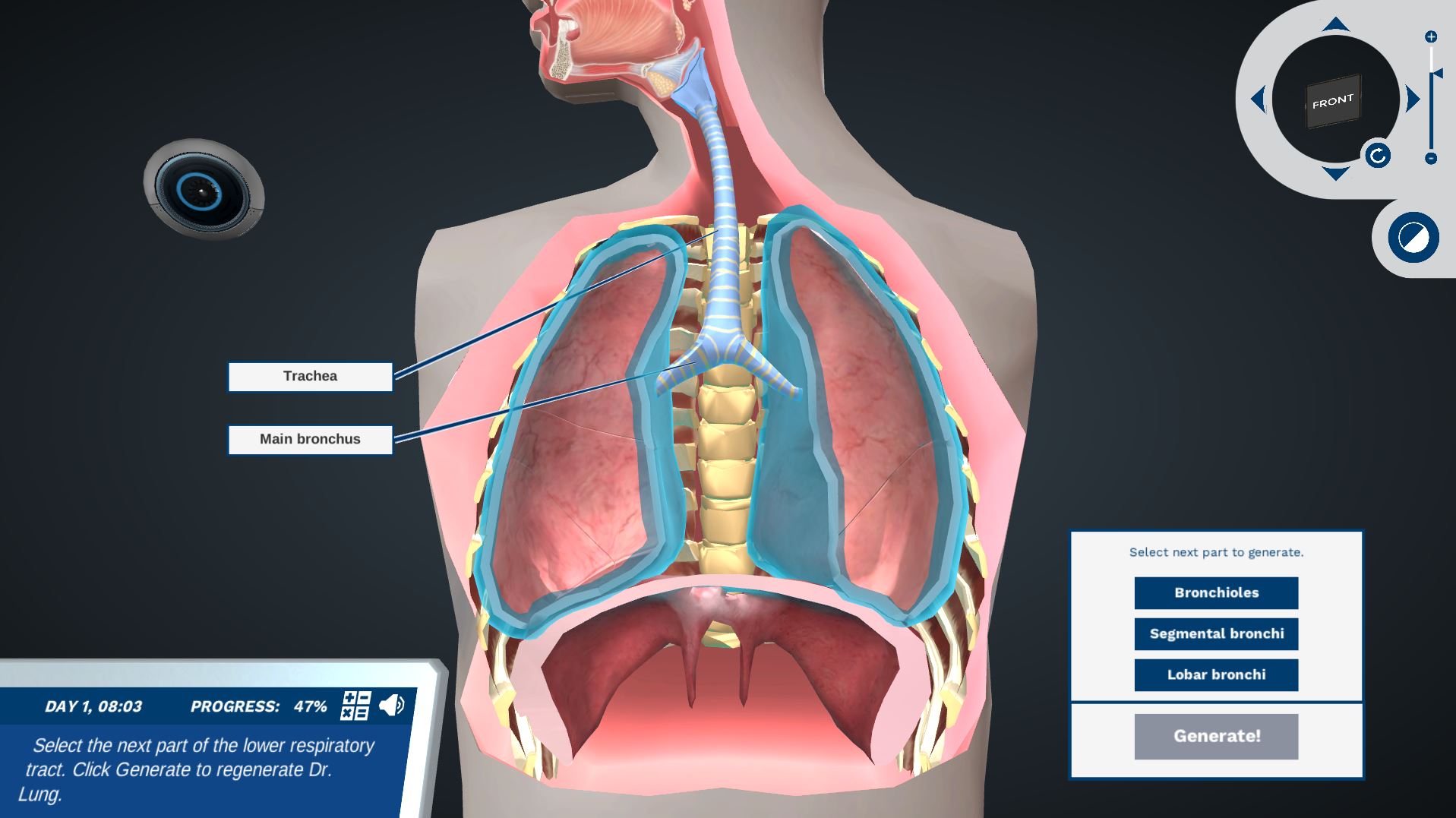 Anatomy of the Respiratory System: Help rebuild a broken system ...