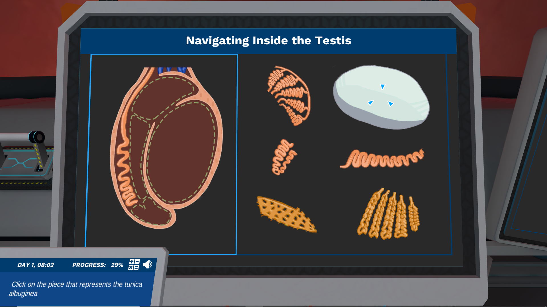 Introduction to the Male Reproductive System: Dive inside the duct ...