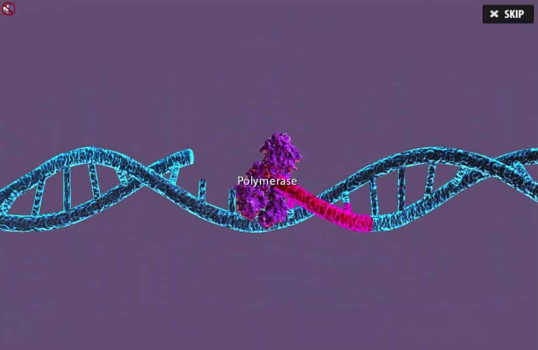 Molecular Cloning | Labster Virtual Labs