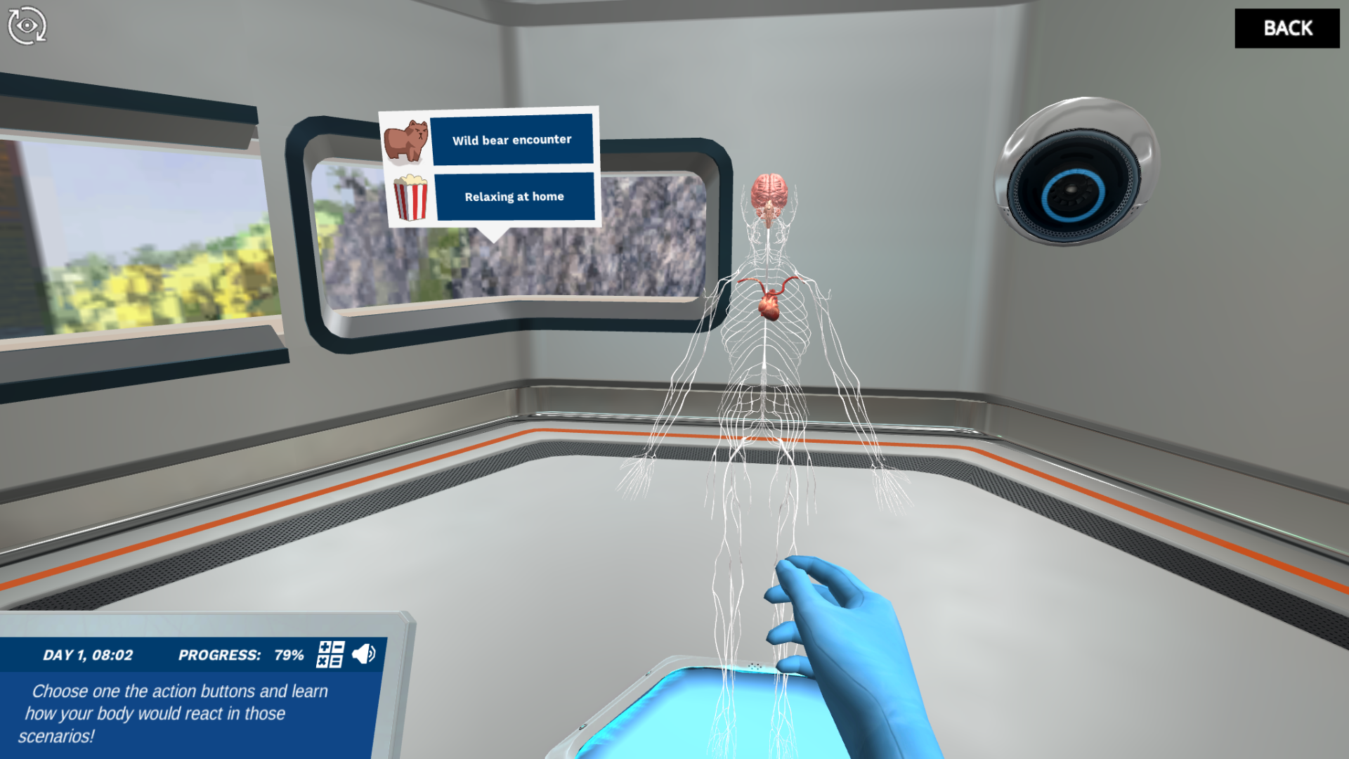 Introduction to the Nervous System: Subdivisions of the nervous system ...