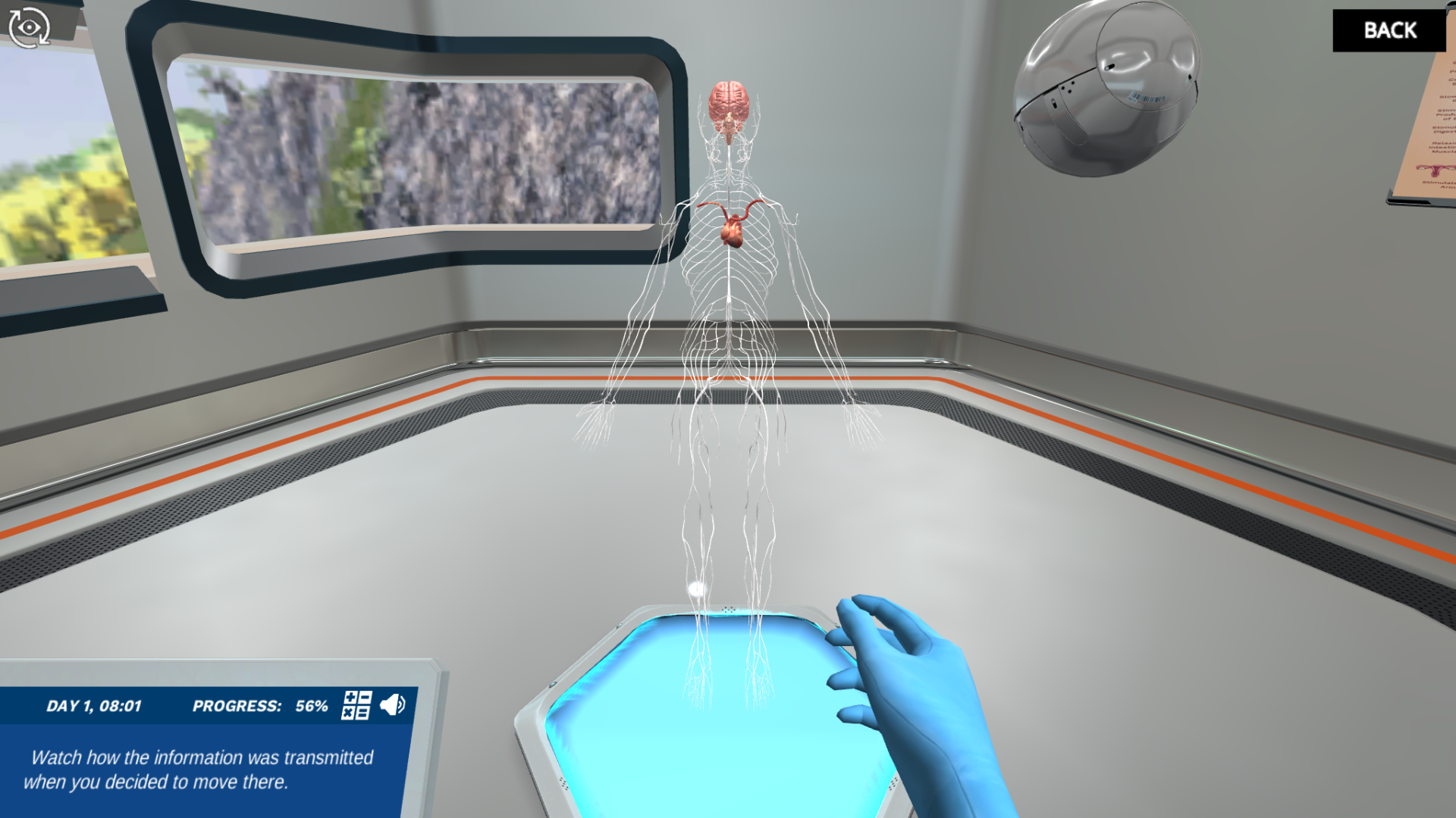Gross Function of the Nervous System: Let your brain learn about itself ...